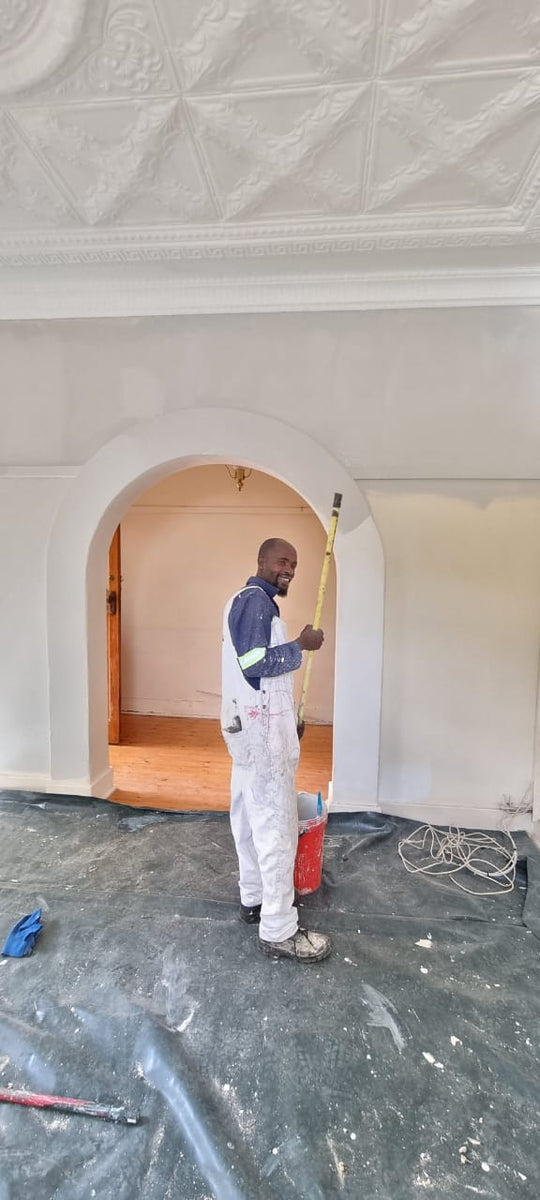 Paint my 5X6 meter room includes walls ceilings ceiling cornices and f ...